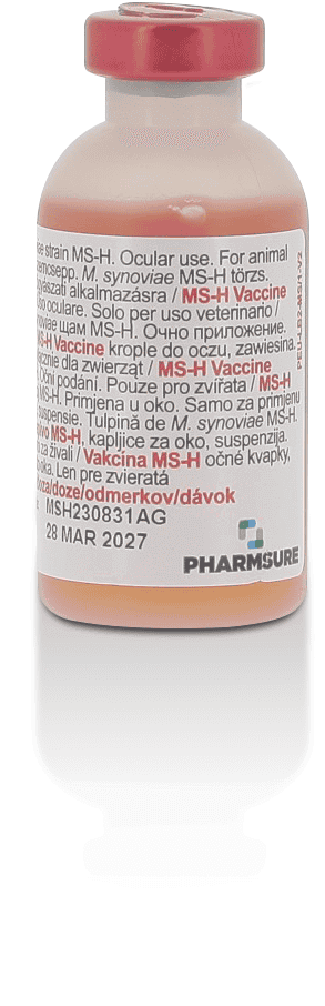 MS-H Vaccine Eyedrops Suspension – Pharmsure Intl